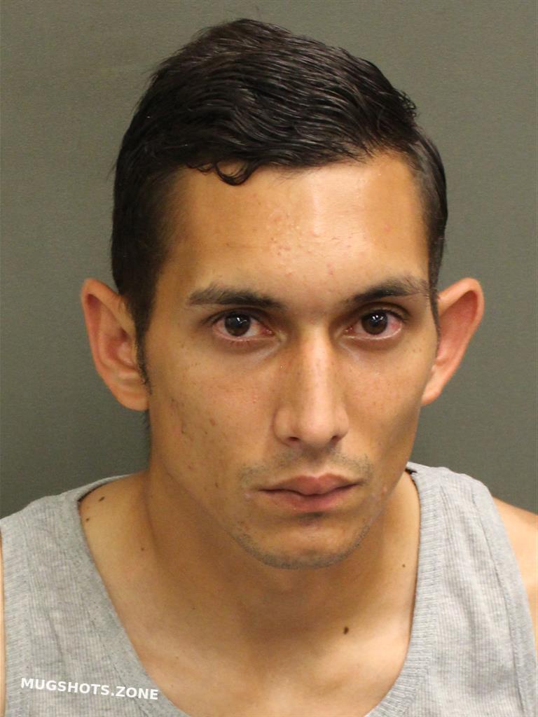 DELAVEGAALFARO CRISTHIAN JULIO 05/07/2024 - Orange County Mugshots Zone