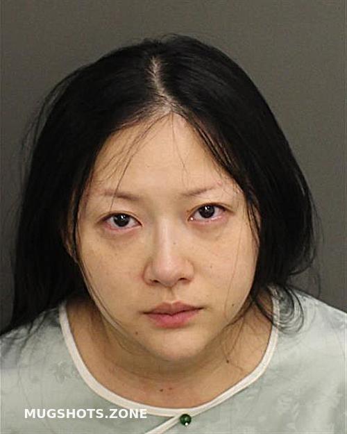 CHEN HANI 05/27/2024 - Orange County Mugshots Zone