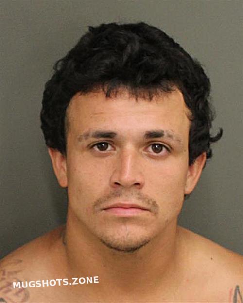 REYNA RENO RENEE 07/08/2024 - Orange County Mugshots Zone