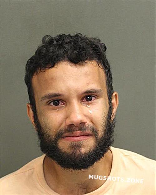 PAGANPRUNEAU IAN SHAUN 07/25/2024 - Orange County Mugshots Zone