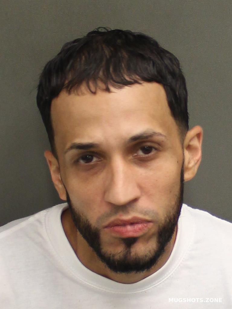 RAMOSSANTIAGO WILL RAMON 08/08/2024 - Orange County Mugshots Zone