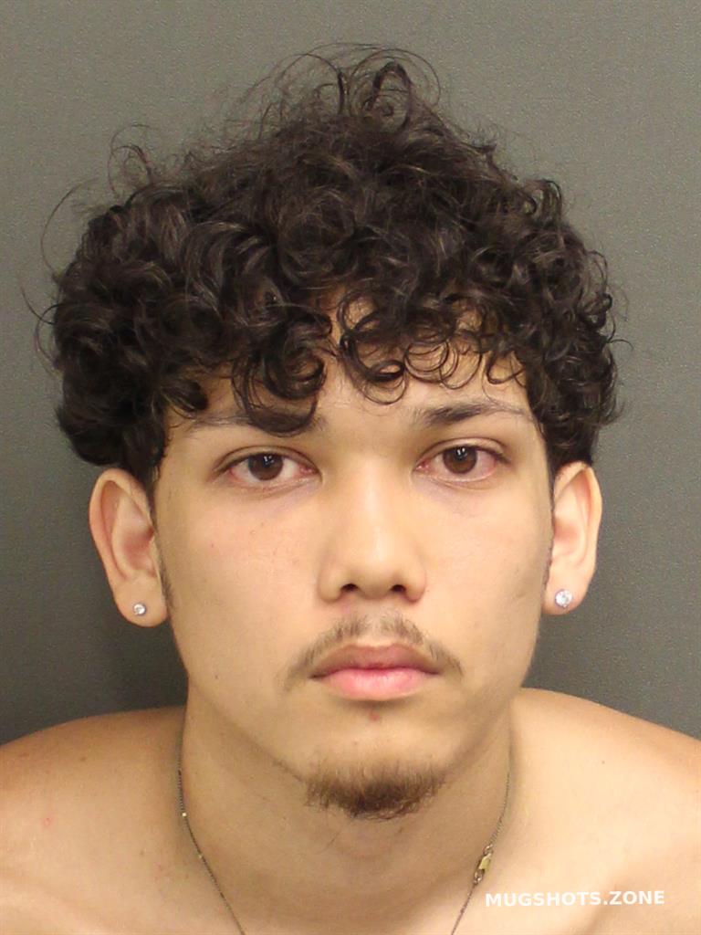 OTIS CALEB ARATA 08/11/2024 - Orange County Mugshots Zone