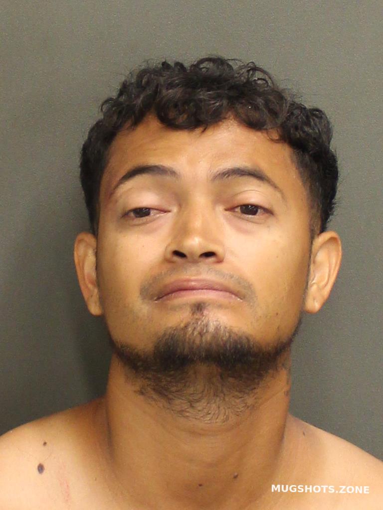 ARGUETAMEDINA EDWIN ALANIS 08/16/2024 - Orange County Mugshots Zone