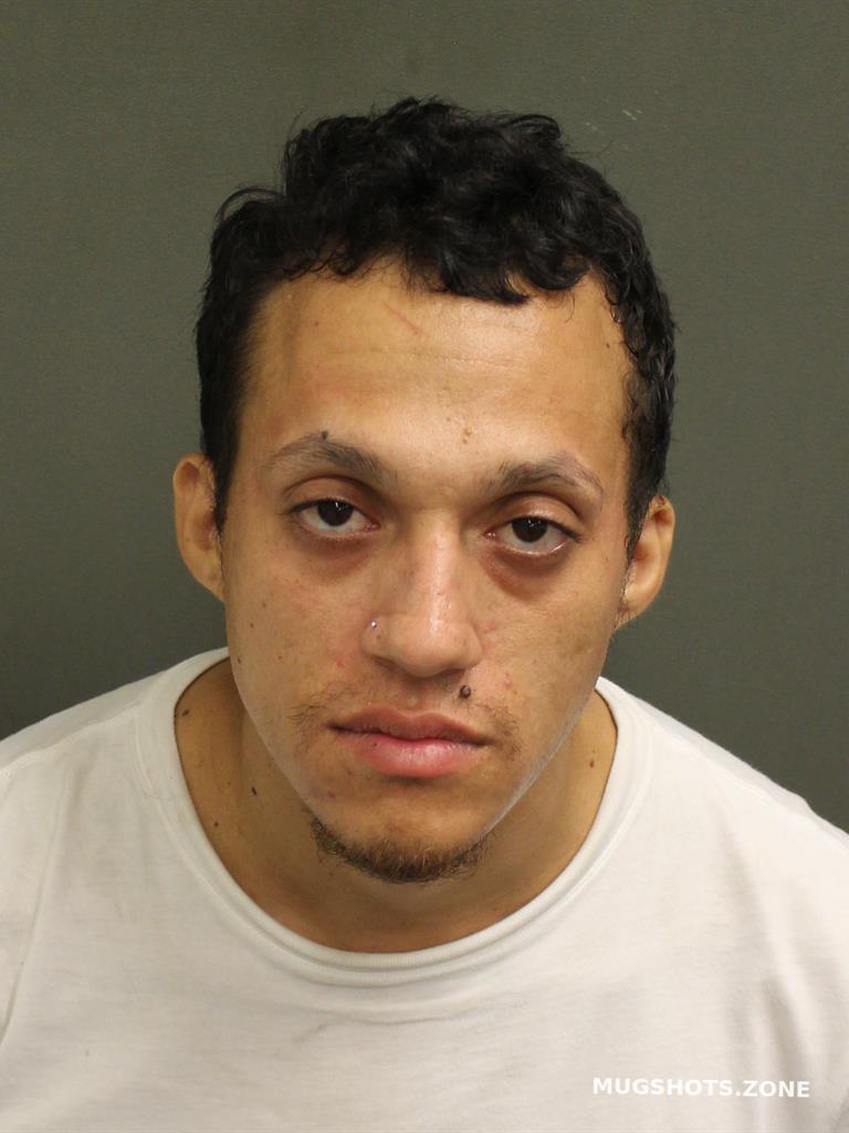 GOODELL AUSTIN CHRISTOPHER 08/22/2024 - Orange County Mugshots Zone