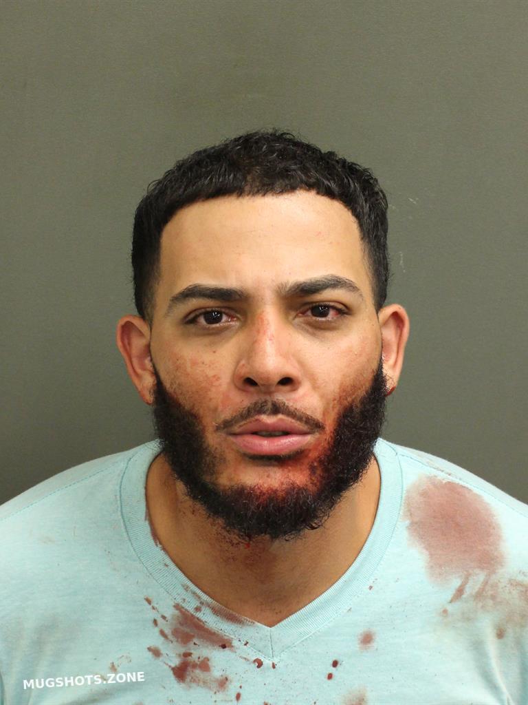 CASTILLO NOEL JUSTIN 08/23/2024 - Orange County Mugshots Zone