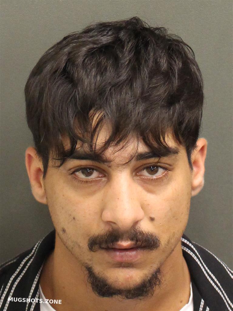 CODREANU STEPHAN 09/04/2024 - Orange County Mugshots Zone