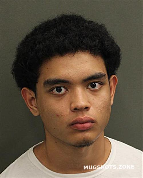 ANAYA CALIXTO GABRIEL 09/28/2024 - Orange County Mugshots Zone