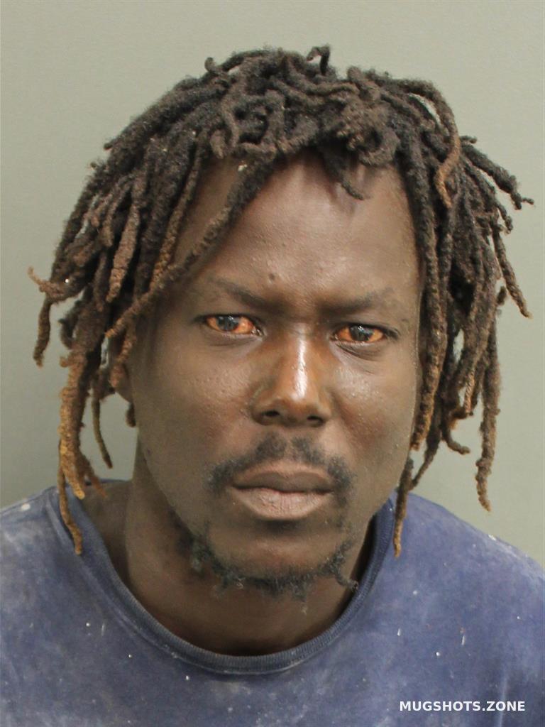 MCGHEE PERRY JR JR 10/21/2024 - Orange County Mugshots Zone