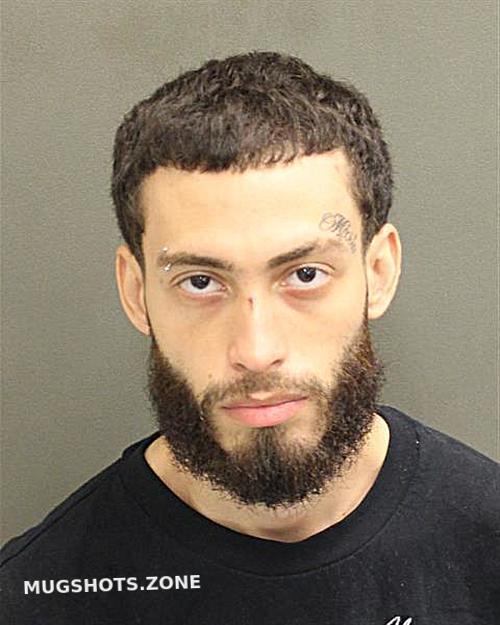 REINA LENNYS YADIEL 11/10/2024 - Orange County Mugshots Zone