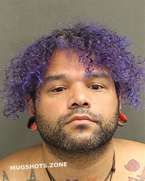 SEPULVEDA EDWIN ANTONIO 11/11/2024 - Orange County Mugshots Zone