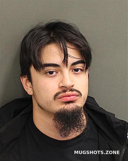OLIVARES CHARLIE JOSE 11/22/2024 - Orange County Mugshots Zone