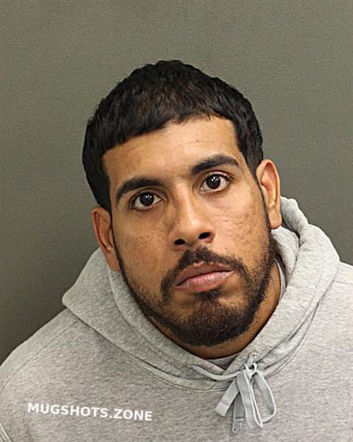 MARCUCCISANTIAGO CHRISTIAN JOEL 11/22/2024 - Orange County Mugshots Zone