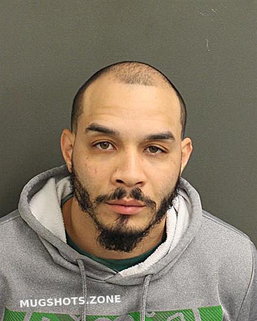 GONZALEZ ALBERTO HAROLD JR 01/04/2025 - Orange County Mugshots Zone