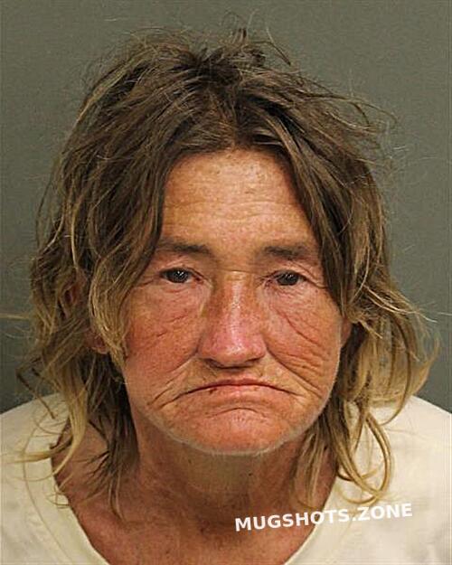 SEEGER MARGARET ANN 09/20/2025 - Orange County Mugshots Zone