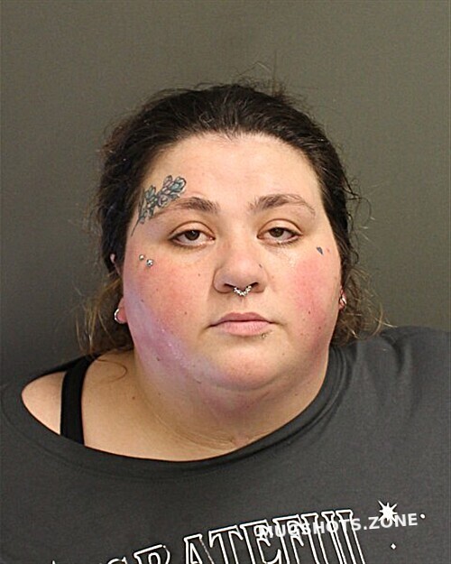 NIPPER MICHELLE ANN 11/24/2025 - Orange County Mugshots Zone