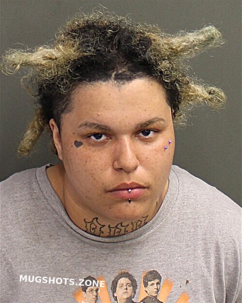 JOHNSON AUBREY ELIZABETH MA 01/26/2026 - Orange County Mugshots Zone