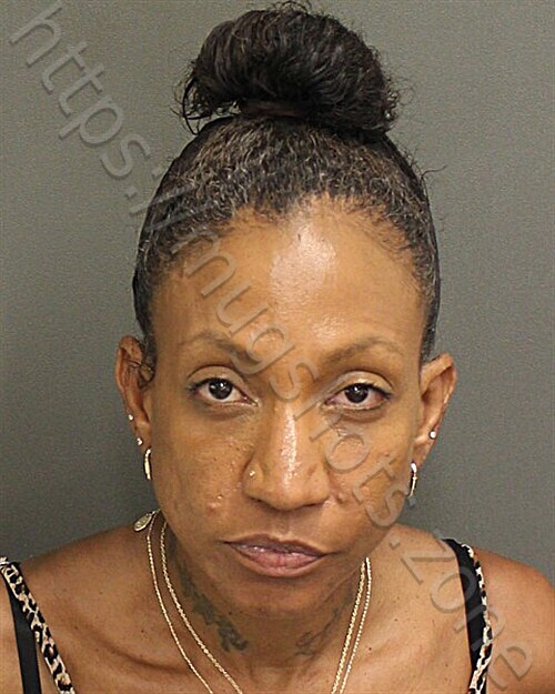 BROWN AMANDA DEANE 03/11/2026 - Orange County Mugshots Zone