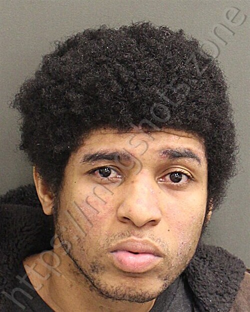 WHITEHEAD ANTHONY JABRELLE 03/14/2026 - Orange County Mugshots Zone