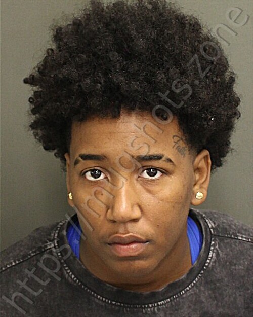 TRIMBLE CHELLCE MADISON 03/23/2026 - Orange County Mugshots Zone