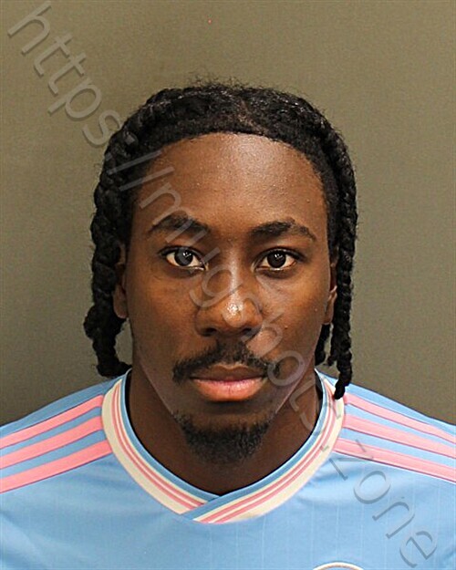 PIERRE LOUIS DAVE ASHLEY 03/27/2026 - Orange County Mugshots Zone