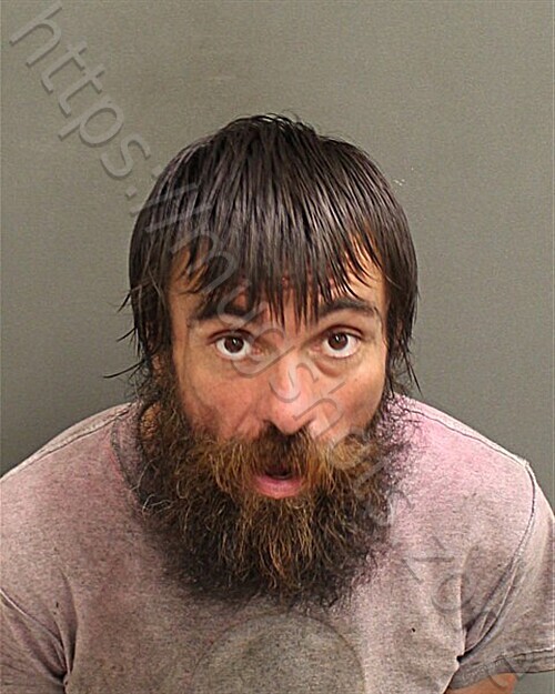 LESSARD MILES 04/06/2026 - Orange County Mugshots Zone