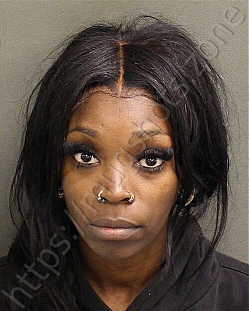 GOODIN ASTASHA 04/11/2026 - Orange County Mugshots Zone