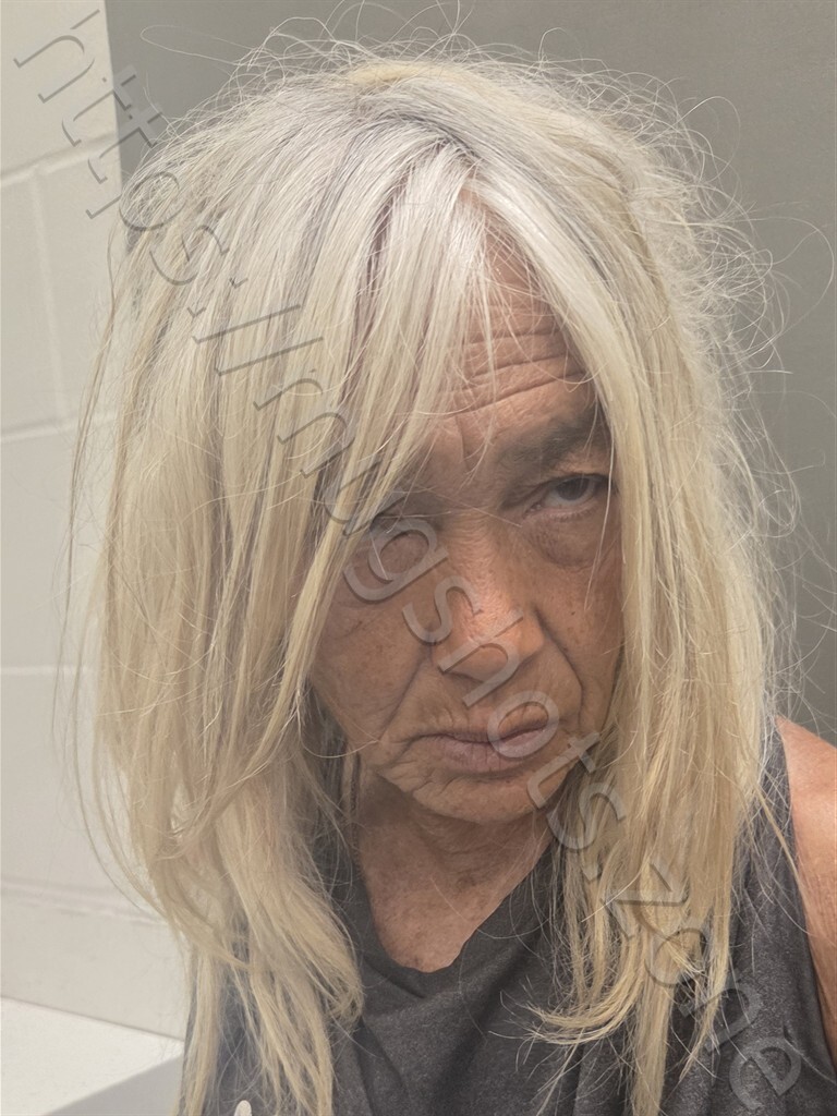 HOWELLJAMBOR JUNE ANN 04/11/2026 - Orange County Mugshots Zone