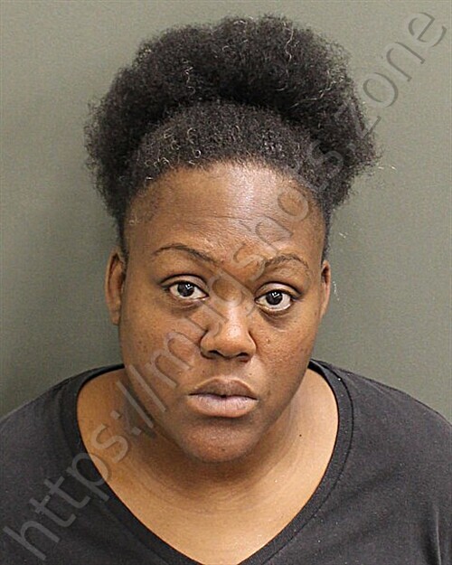 BRITTON BLISS FIONA 04/15/2026 - Orange County Mugshots Zone