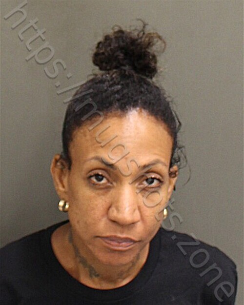 BROWN AMANDA DEANE 05/22/2026 - Orange County Mugshots Zone