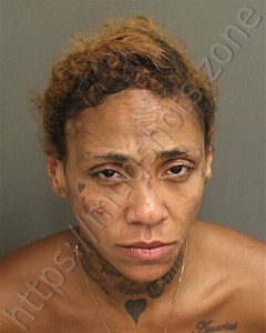 CAREY SABRINA ELAINE 05/24/2026 - Orange County Mugshots Zone