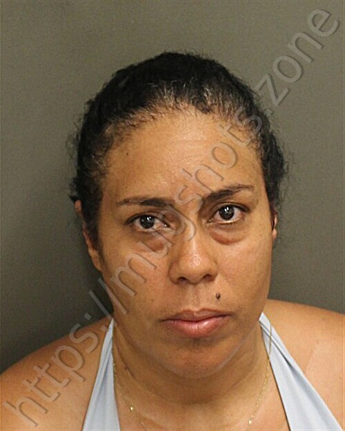 CARABALLOABREU WANDA IVETTE 05/25/2026 - Orange County Mugshots Zone