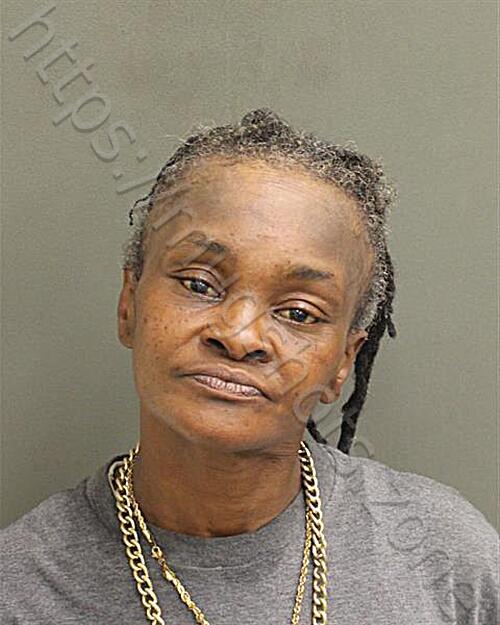 GEER SHAKIRA RENETTA 05/26/2026 - Orange County Mugshots Zone