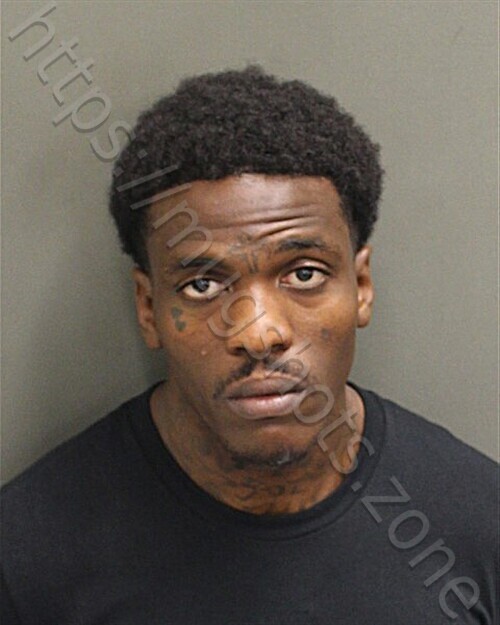 TYLER WILLIE JR 05/27/2026 - Orange County Mugshots Zone