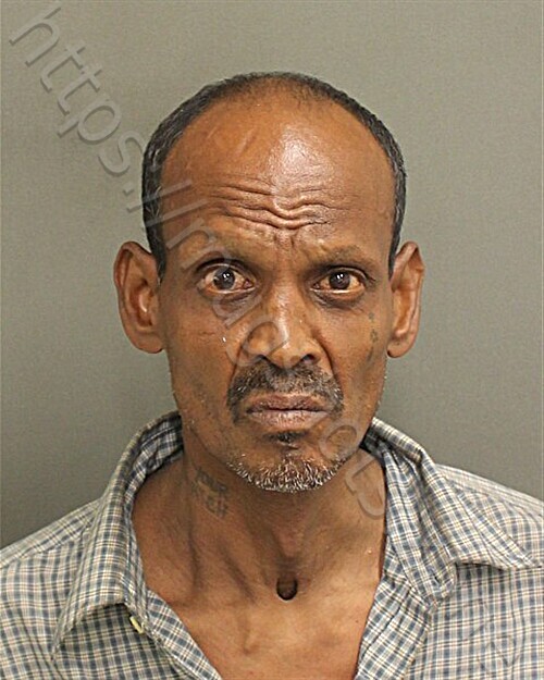 RAMNANAN SIMON PETER 05/27/2026 - Orange County Mugshots Zone