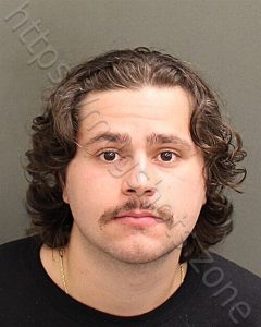 FINKEL JOSHUA RYAN 05/28/2026 - Orange County Mugshots Zone