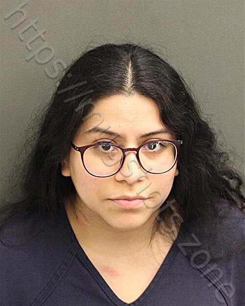 GOMEZBORELL VIRGINIA ELIANA 05/28/2026 - Orange County Mugshots Zone