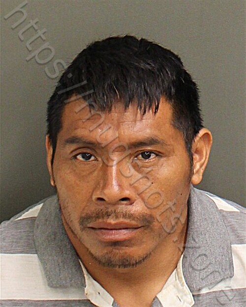 SALESGABRIEL VICTOR 05/28/2026 - Orange County Mugshots Zone