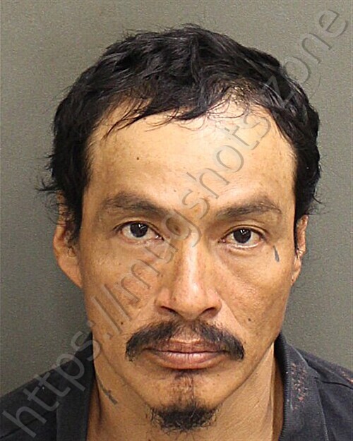 TREJOCALVILLO LEODAN 06/12/2026 - Orange County Mugshots Zone