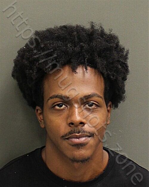 JOHNSON AYDEN MARCUS 06/13/2026 - Orange County Mugshots Zone