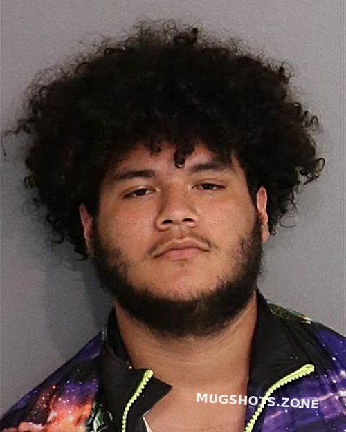 TAI BLAZE ALICEA 02/17/2021 - Osceola County Mugshots Zone