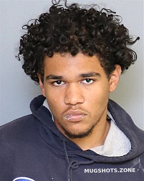JAYDEN ALEXANDER BAEZ 03/19/2021 - Osceola County Mugshots Zone