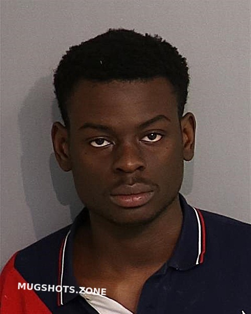 CHRISTOPHER CARLOS ESLAND 04/03/2021 - Osceola County Mugshots Zone