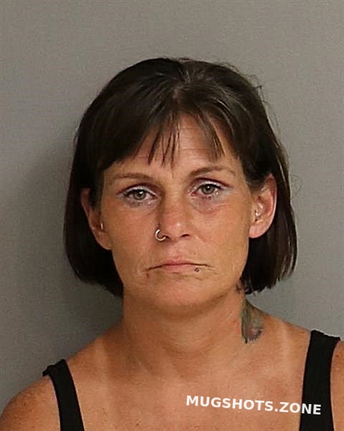 AMY MICHELLE COOK 08/12/2021 - Osceola County Mugshots Zone