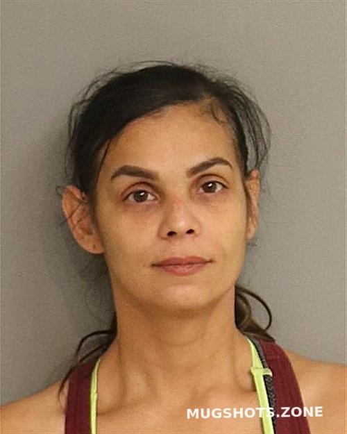 MARIA LUISA VINES 02/11/2022 - Osceola County Mugshots Zone