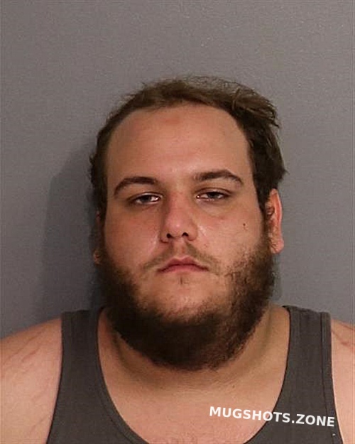 DOMINIC MICHAEL PARENTI 03/31/2022 - Osceola County Mugshots Zone