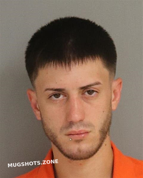 STEVEN ALVIN KRAVITZ 04/17/2022 - Osceola County Mugshots Zone