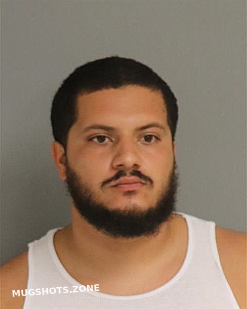 STEVEN ALEX ROLON 06/07/2022 - Osceola County Mugshots Zone