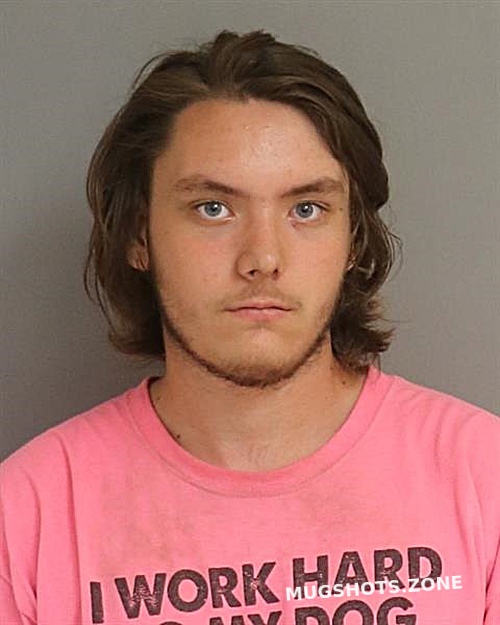 ALEXANDER LOUIS DILLARD 11/22/2022 - Osceola County Mugshots Zone