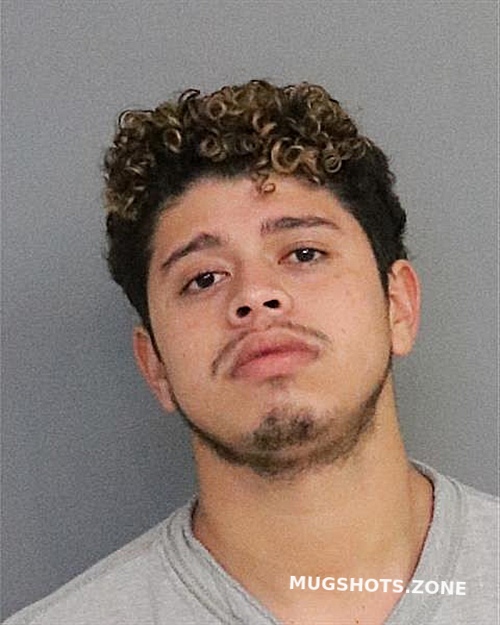 PALMA-HERNANDEZ LUDWIN 12/11/2022 - Osceola County Mugshots Zone