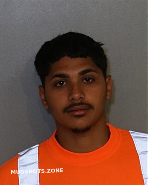 FIGUEROA-COLLAZO RAILER 02/02/2023 - Osceola County Mugshots Zone